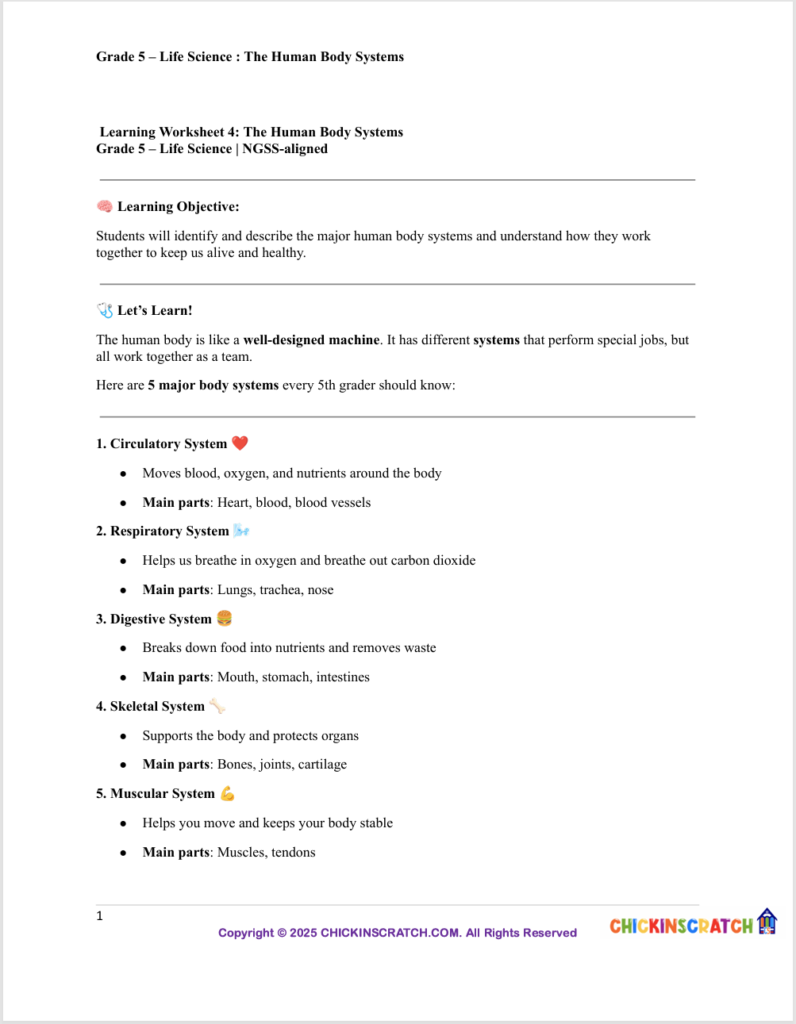 Grade 5 Life Science Human Body Systems Worksheets